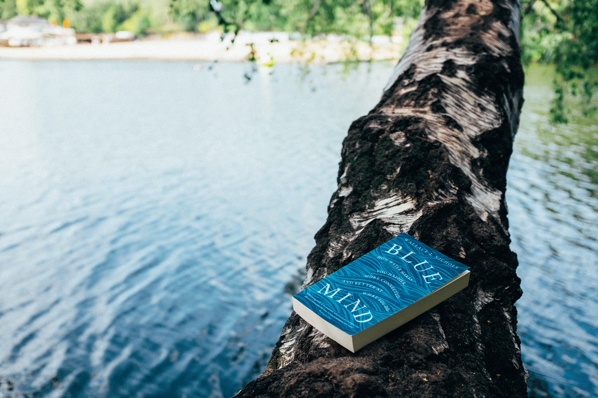Blue Mind by Wallace J Nichols | Book Review | Lake Stories