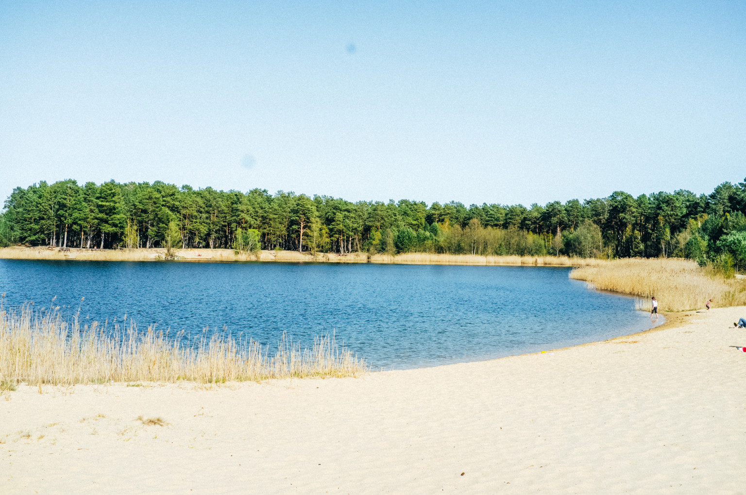 a-road-trip-to-bernsteinsee-a-blue-gem-north-of-berlin