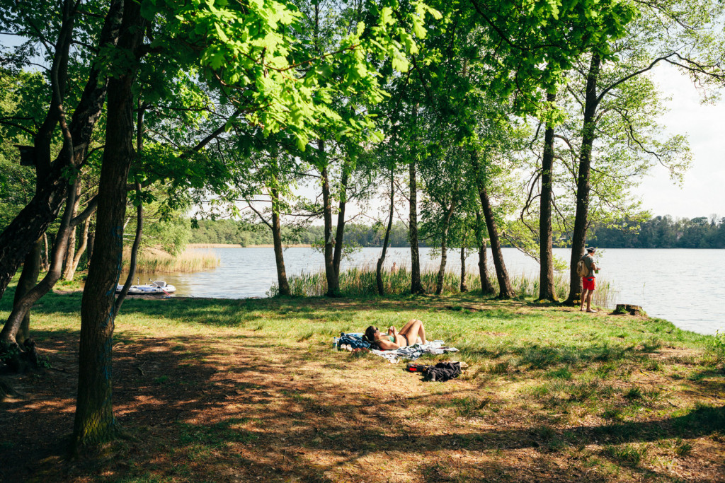 Ausflug zum Summter See - Wilde Ufer und sandige Lichtungen