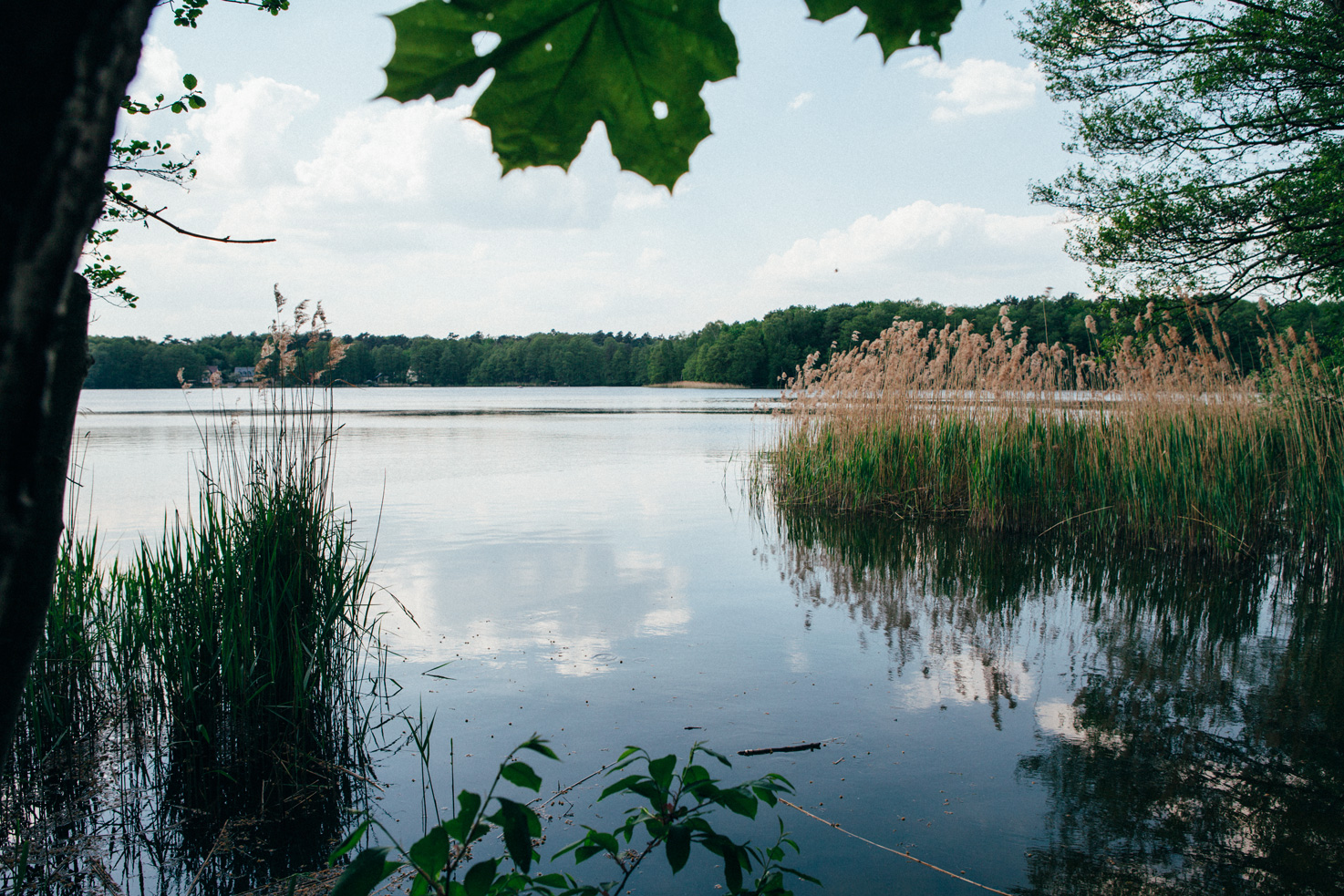 Ausflug zum Summter See - Wilde Ufer und sandige Lichtungen