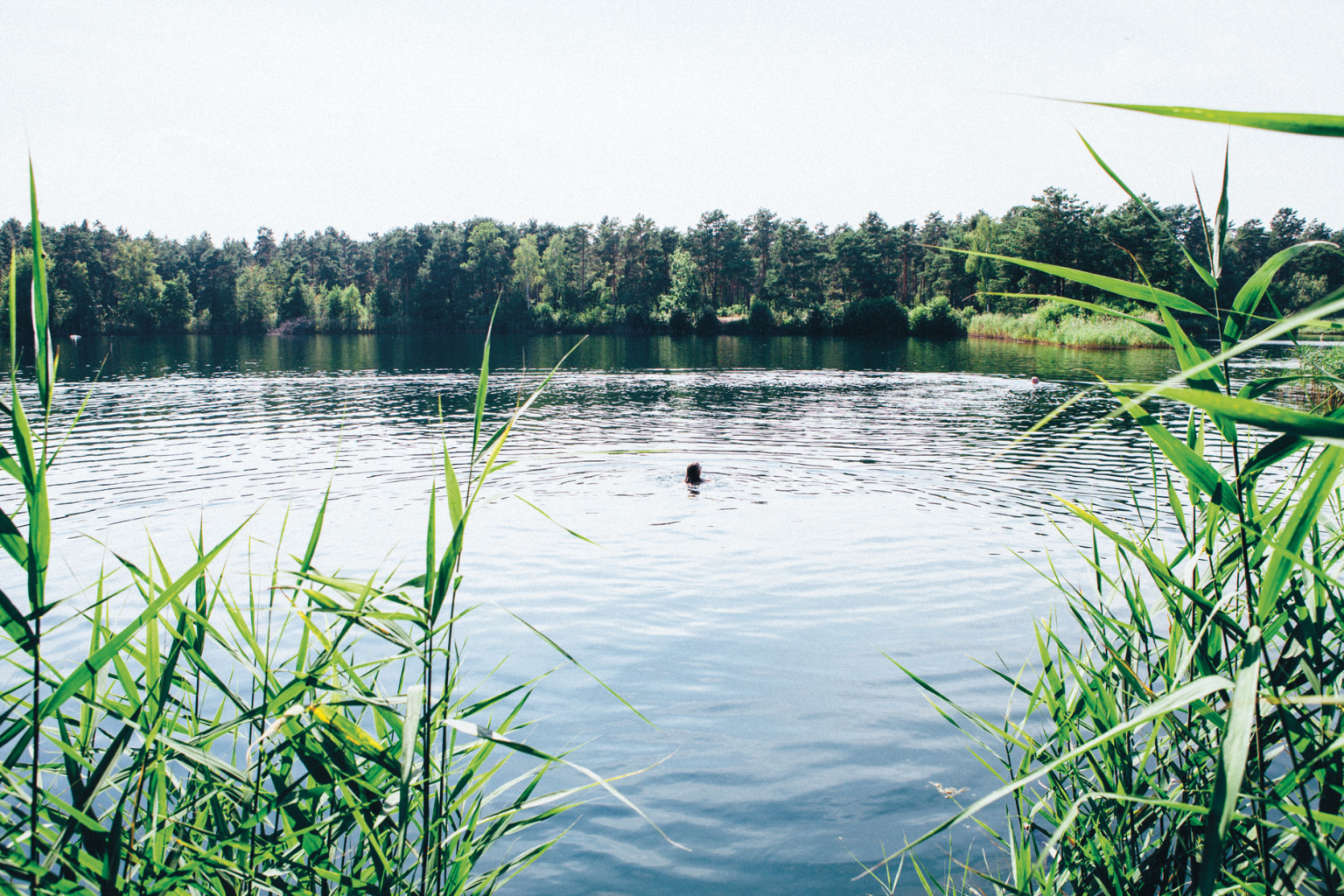 Our Four Favourite Lakes in Berlin and Brandenburg