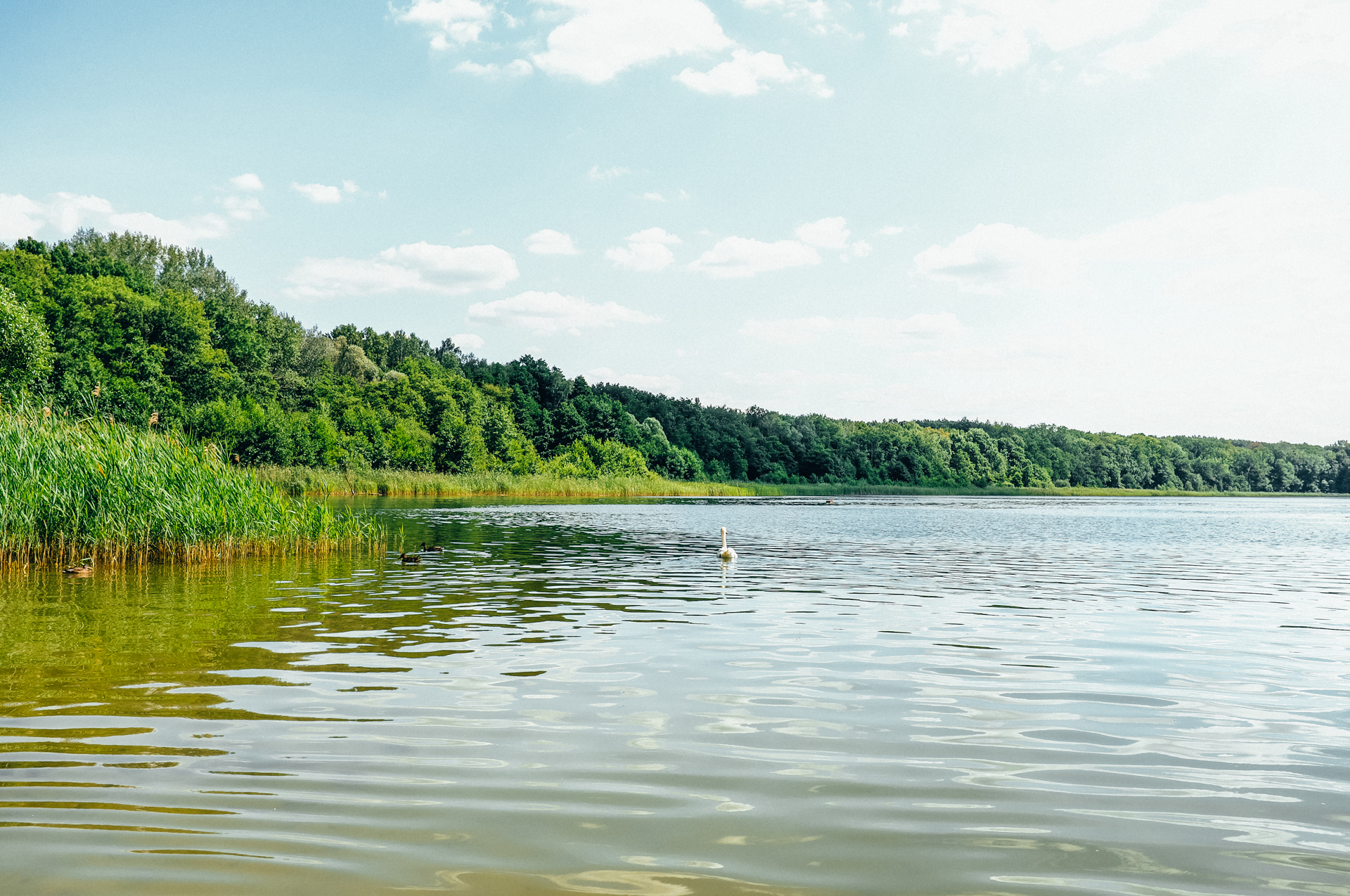 A Road Trip to Sacrower See - Picnics in the Sunshine & Forest Strolls