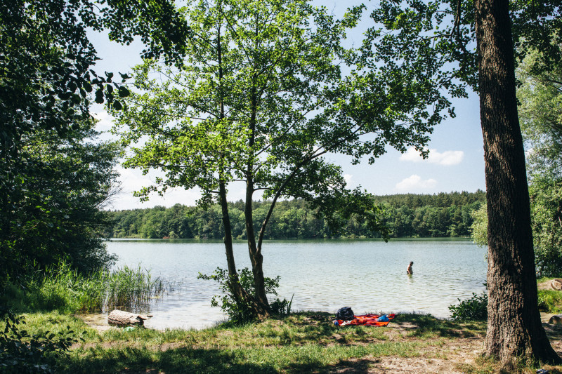 A Road Trip to Sacrower See - Picnics in the Sunshine & Forest Strolls