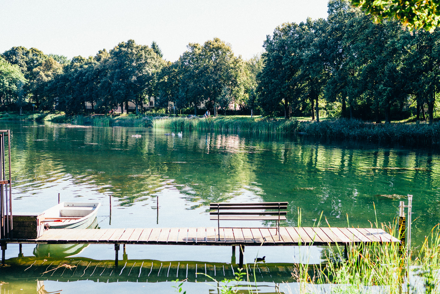 A Summery Lakeside Stroll and a Visit in Obersee-Orankesee Park